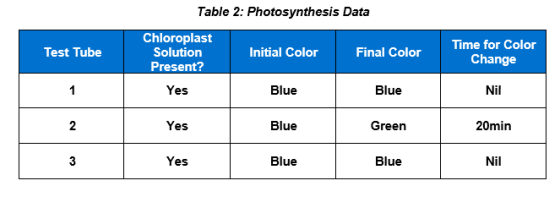 In this experiment, you will measure the rate of photosynthesis in ...