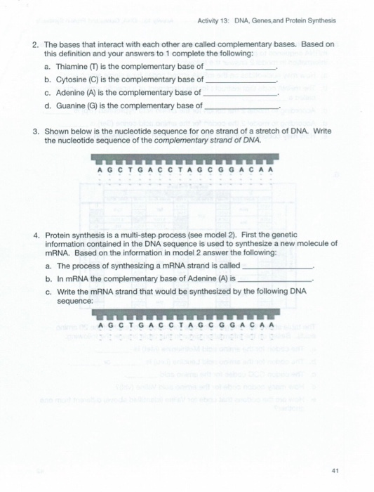 Please help with 4-10! DNA, Genes,and Protein Synthesis Activity 13: 2 ...