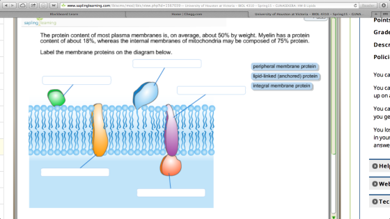 The protein content of most plasma membranes is, on average, about 50% ...