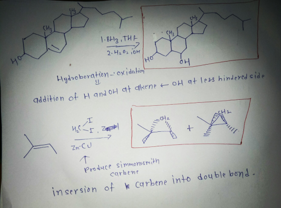 Alkyne Draw the product of the reaction below. (References) 1. BH3. THE ...