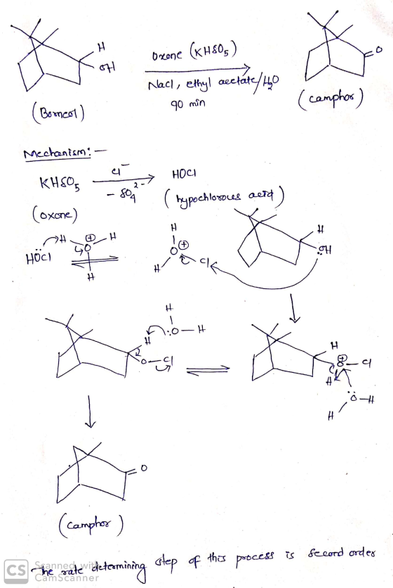 Conversion of Borneol to Camphor give detailed mechanism of the ...