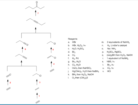 Draw the product of this series of reactions. 1. Br2, hv 2. KOtBu 3. 03 ...