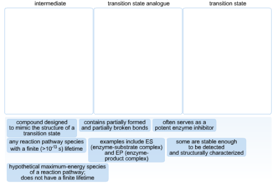 Descriptions of enzyme mechanisms often contain the terms reaction ...