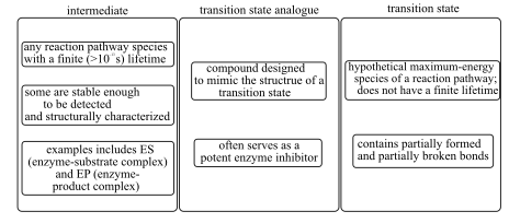 Descriptions of enzyme mechanisms often contain the terms reaction ...