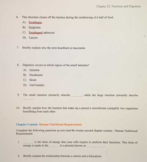 Chapter 22 Nutrition And Digestion 6 This Structure Closes Off The chapter-22-nutrition-and-digestion-6-this-structure-closes-off-the