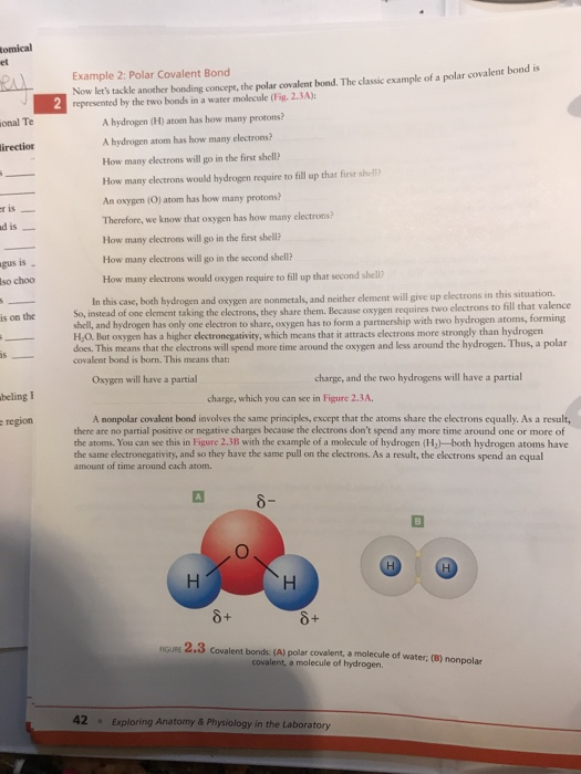 Pre-Lab Exercise 2-3 Chemical Bonding One of the more challenging ...
