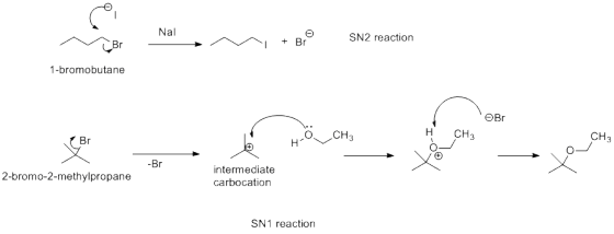 1. Write the mechanism for the Sn2 reaction of 1-bromobutane with ...