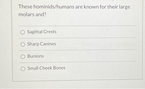These hominids/humans are known for their large molars and? O Sagittal ...