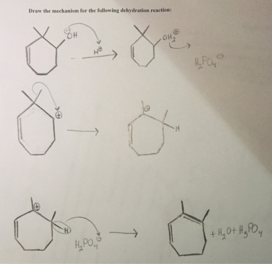 1) Predict the following major alkene product that would result from ...