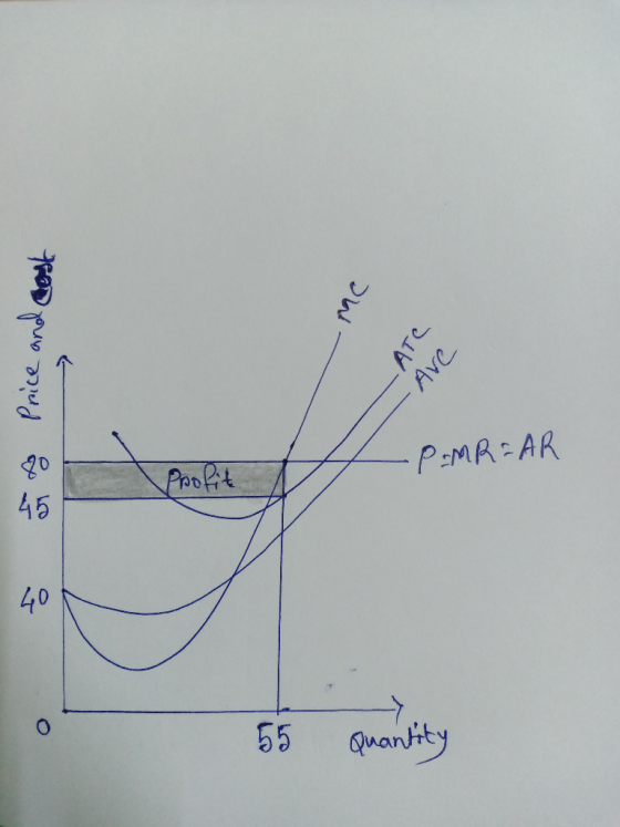 4. Short-run profit maximization or loss minimization for a perfectly ...