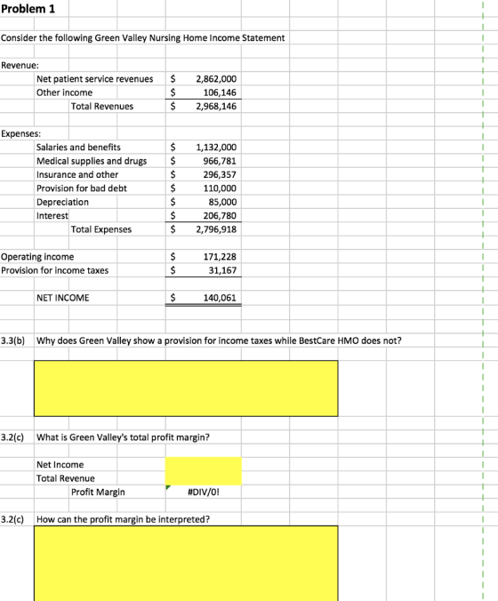 Problem 1 Consider the following Green Valley Nursing Home Income ...