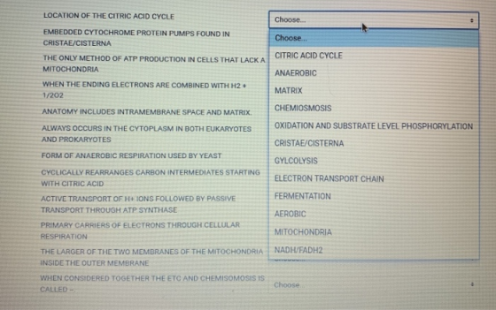 LOCATION OF THE CITRIC ACID CYCLE Choose... EMBEDDED CYTOCHROME PROTEIN ...