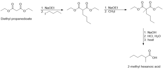 11) Show how to synthesize 2-Methylhexanoic acid using the Malonic ...