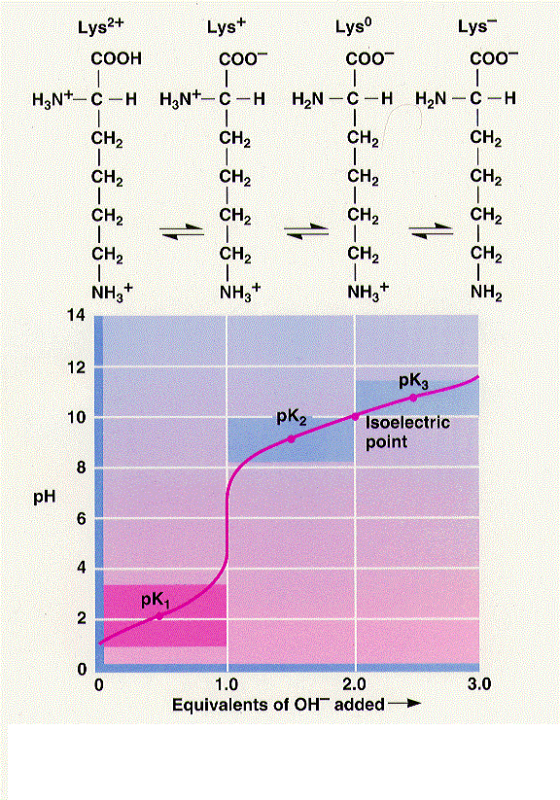 4) Draw the titration curves for the amino acids Lysine and Alanine. Be ...