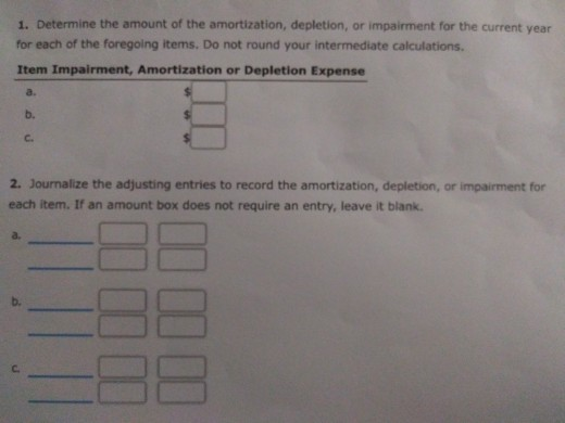 Amortication and Depletion Entries Data related to the acquisition of ...